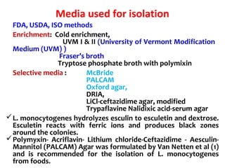 Genus listeria | PPT