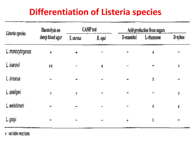Genus listeria | PPT