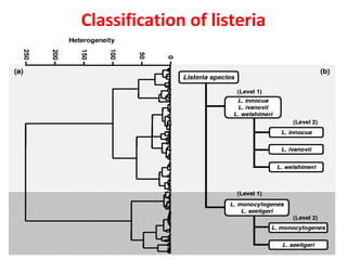 Genus listeria | PPT