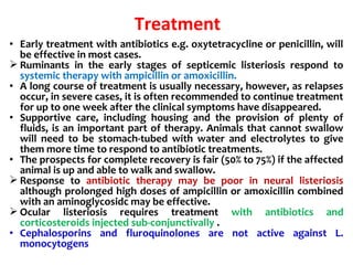 genus listeria.pdf