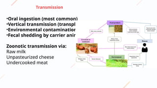 Genus Listeria describe virulence factors pathogenesis morphology NK (7 ...