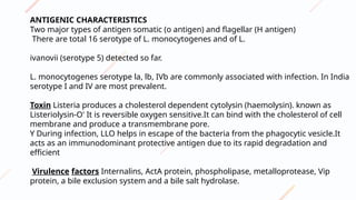 Genus Listeria describe virulence factors pathogenesis morphology NK (7 ...