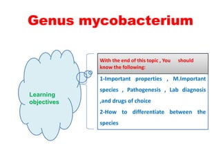 mycobacteria | PDF