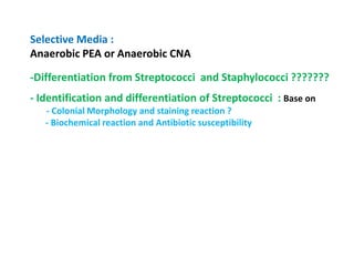 peptostreptococcus | PDF