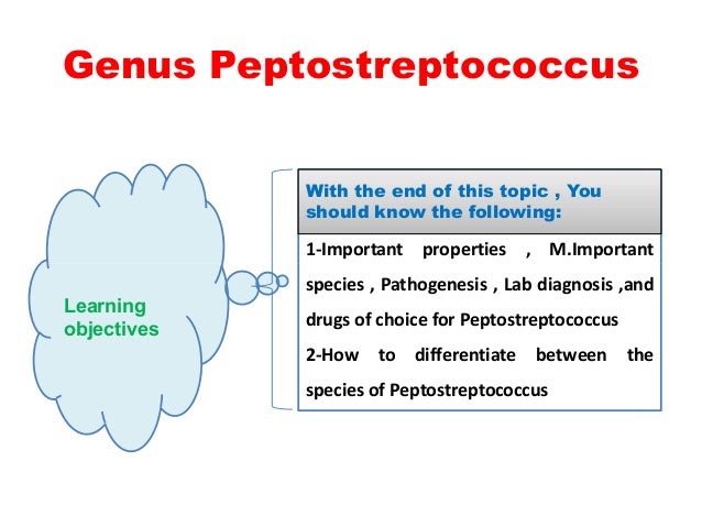 peptostreptococcus
