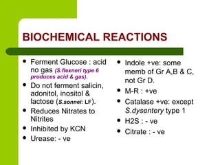 Genus shigella | PPT