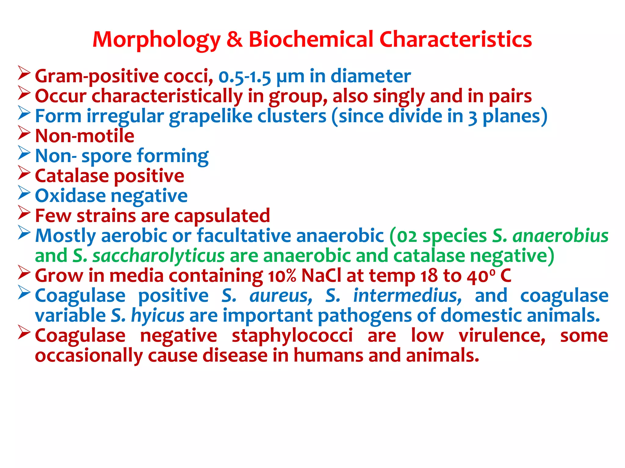 Genus staphylococcus | PPT