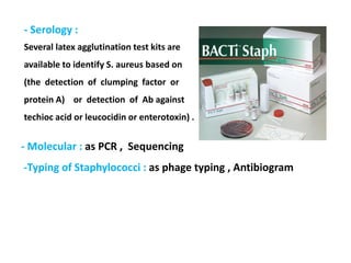 staphylococcus | PDF
