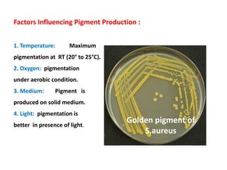 staphylococcus | PDF