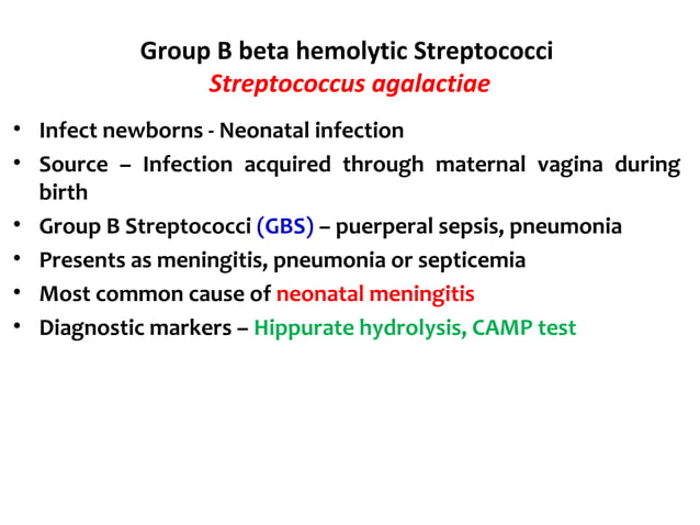 Genus Streptococcus | PPT