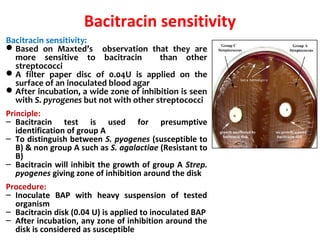 Bacitracin Test