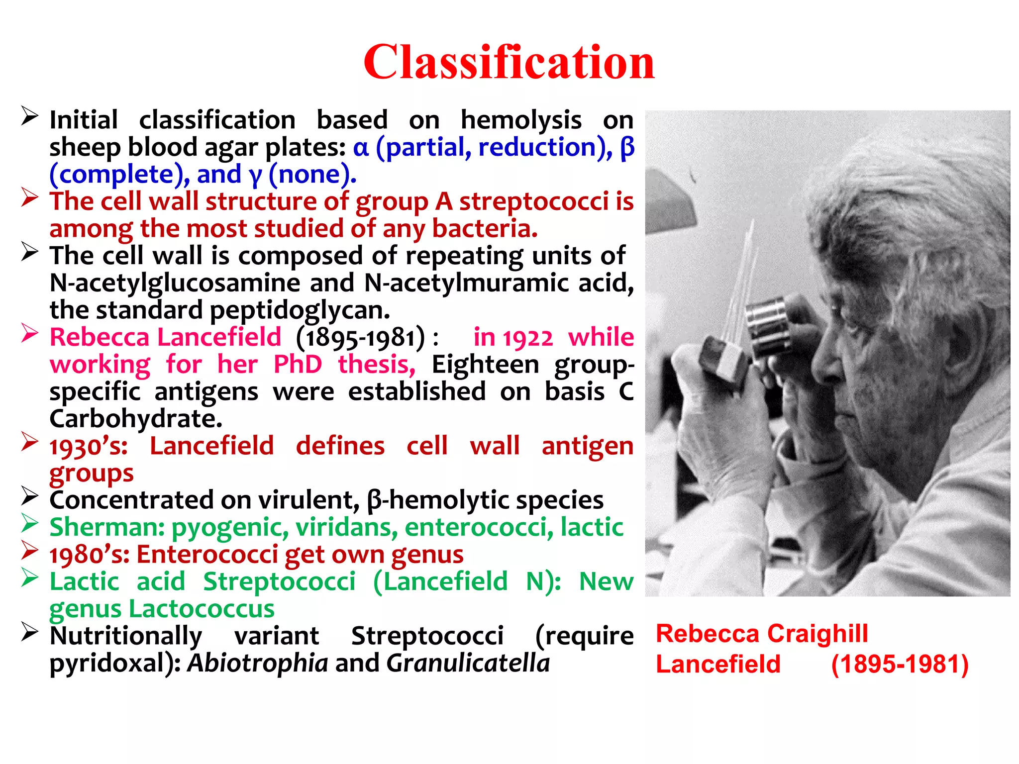 genusstreptococcus-.pdf