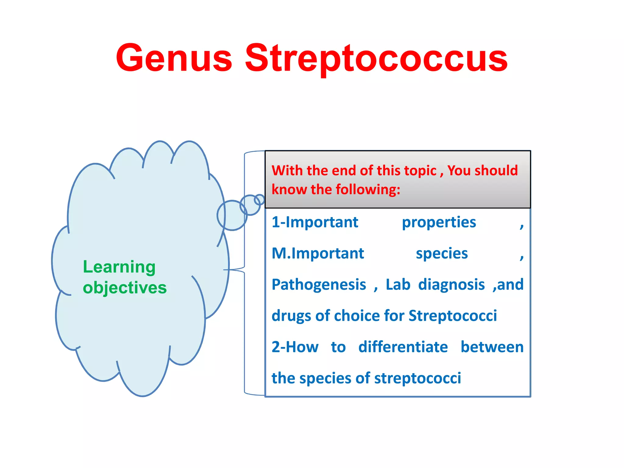streptococcus | PDF
