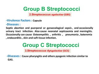 streptococcus | PDF