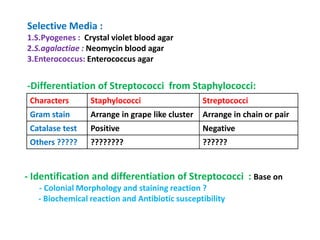 streptococcus | PDF