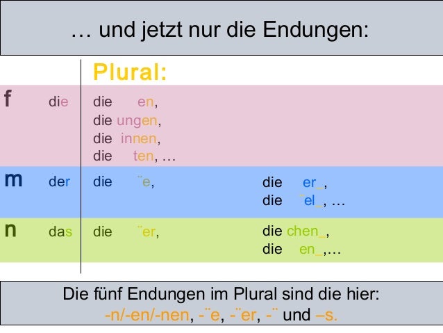 Genus und Plural