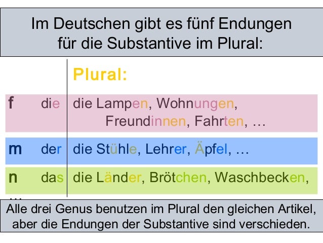 Genus und Plural