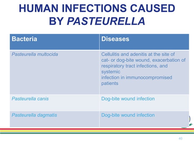 Genus Yersinia&Pasteurella.pptx these are gram negatives non motile bacteria | PPT