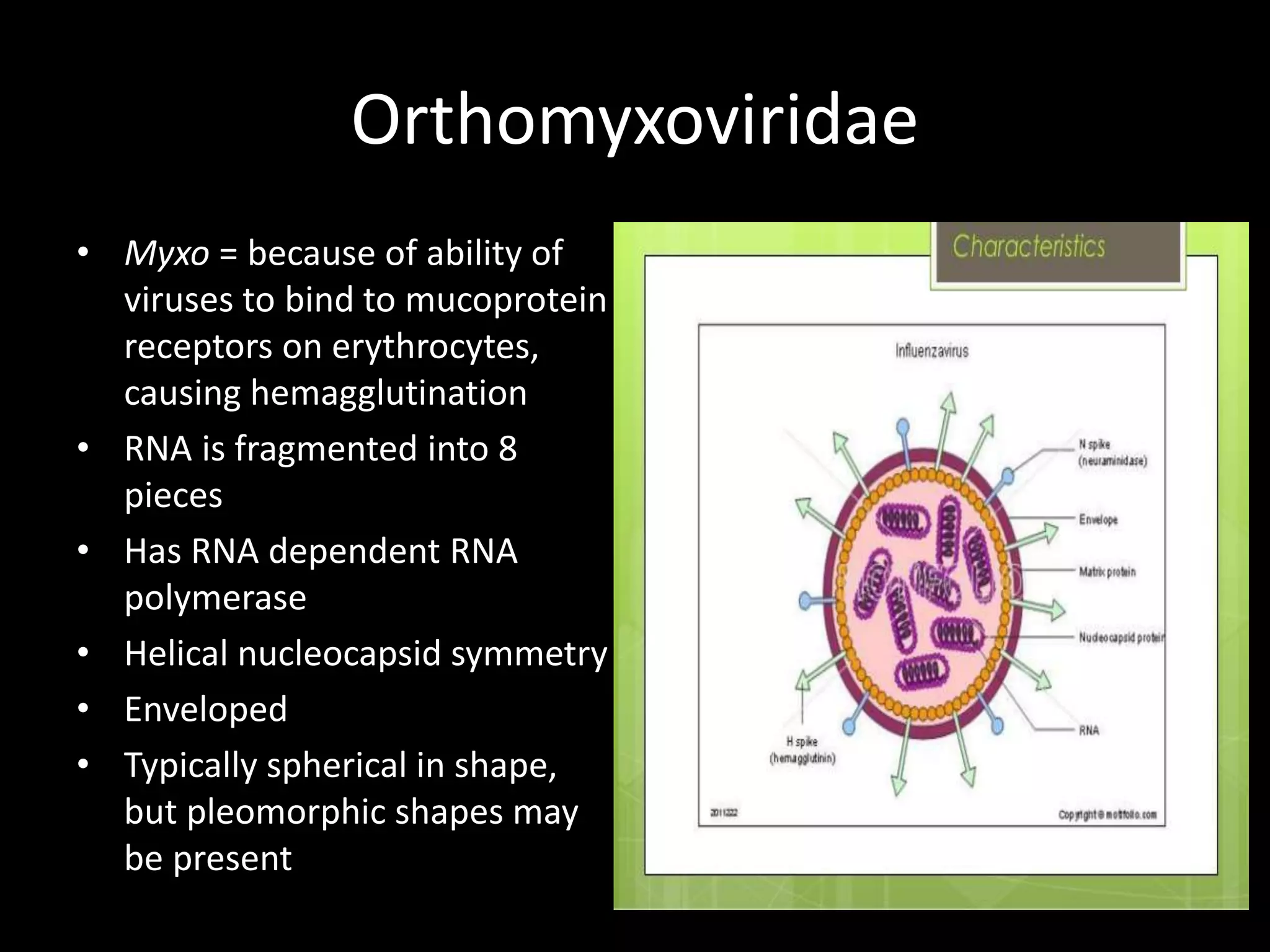 General virology - Introduction, by Dr. Himanshu Khatri | PPTX