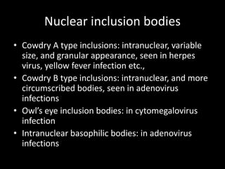 General virology 3 - Pathogenesis, by Dr. Himanshu Khatri | PPTX