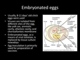 General virology 4 - Laboratory diagnosis, by Dr. Himanshu Khatri ...