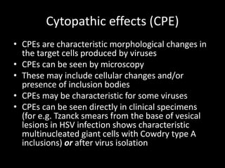 General virology 4 - Laboratory diagnosis, by Dr. Himanshu Khatri | PPTX