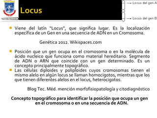 Definición de Conducta, Gen, Alelos, Genotipo, Fenotipo, Cromosoma ...