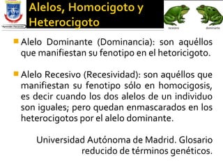 Definición de Conducta, Gen, Alelos, Genotipo, Fenotipo, Cromosoma ...