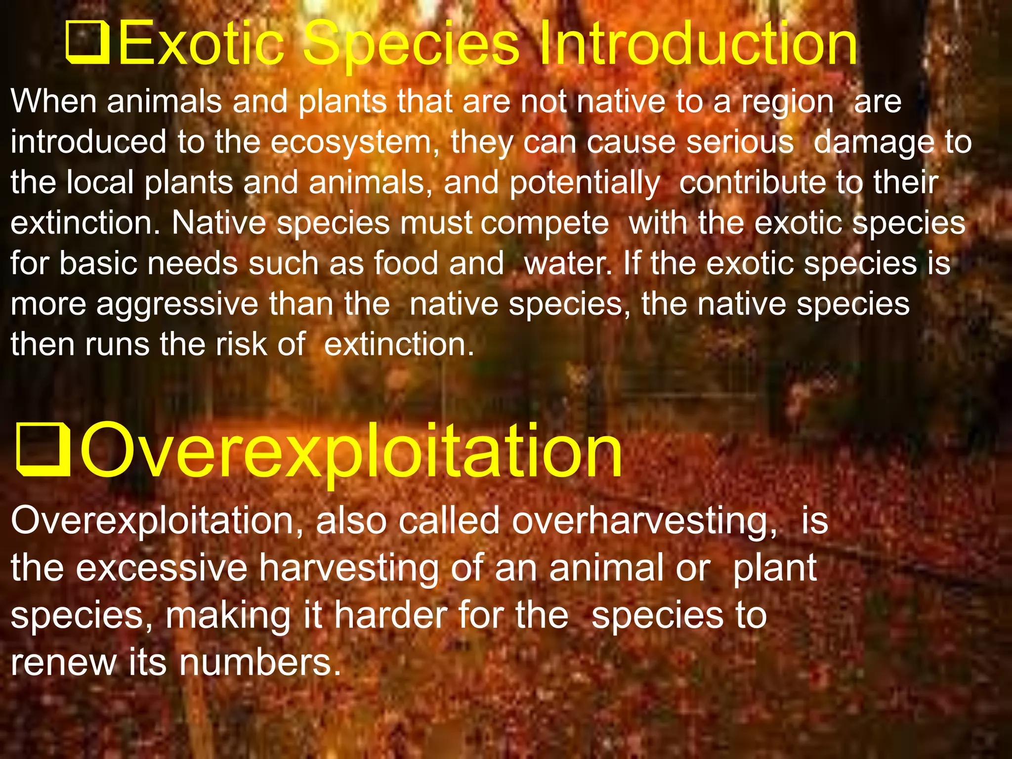 endangered and extinct animals | PPTX