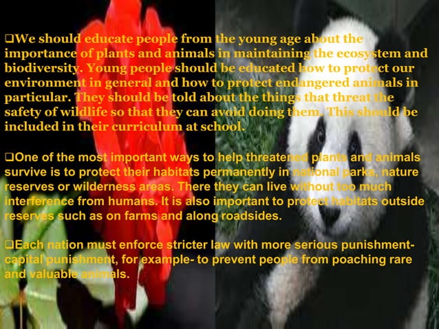 endangered and extinct animals | PPTX