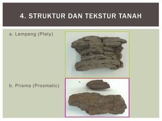 Struktur Tanah