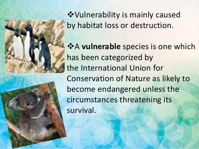 ppt on vulnerable species