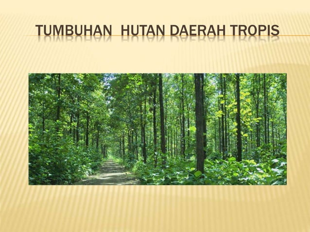 Geografi Kelas XI MIA 3 Smansabes | PPTX