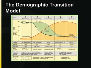 AS Level Human Geography - Population Dynamics | PPTX