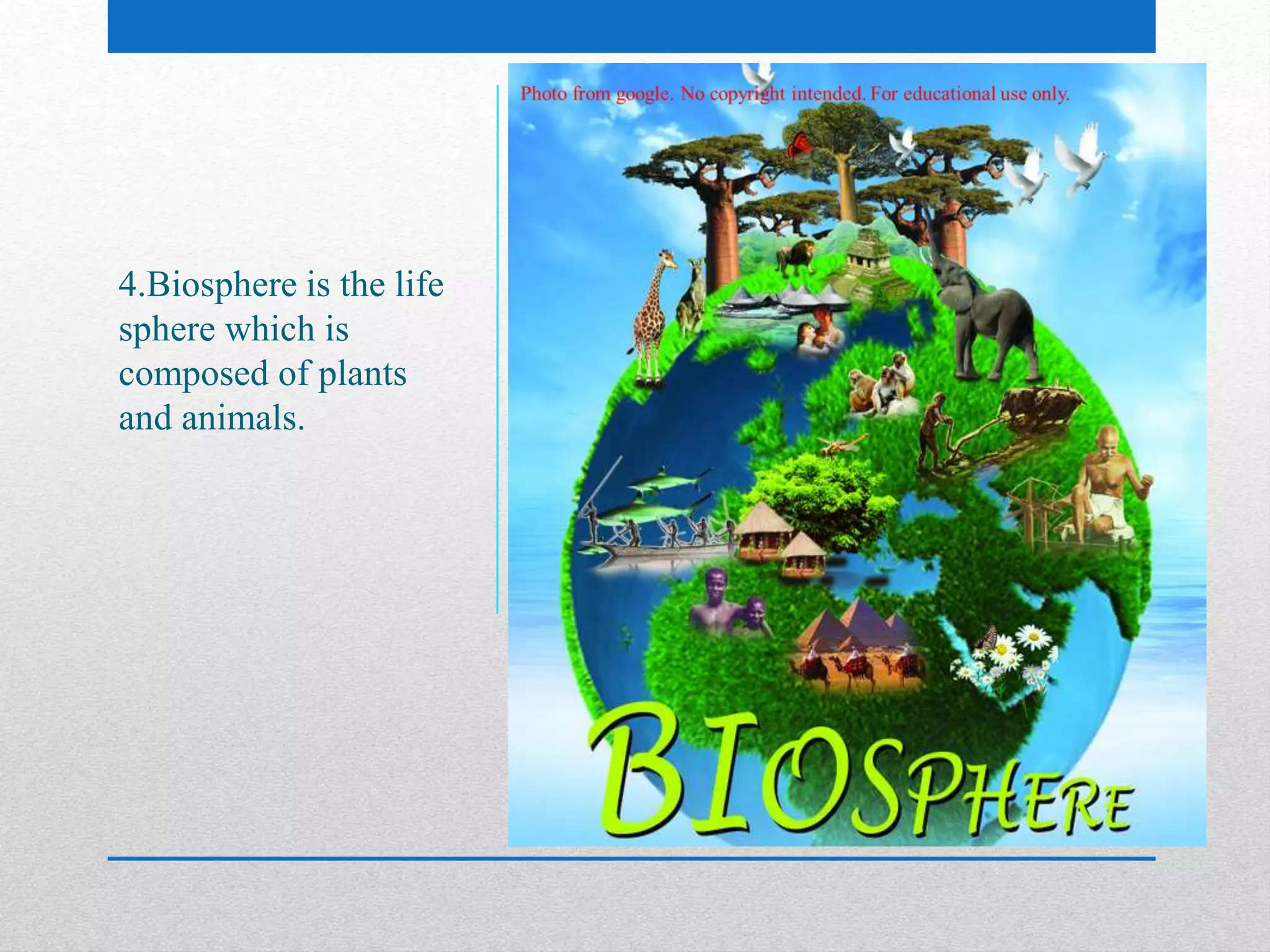 MEANING AND NATURE OF GEOGRAPHY | PPTX