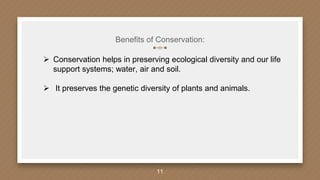 forest and wild resources | PPTX