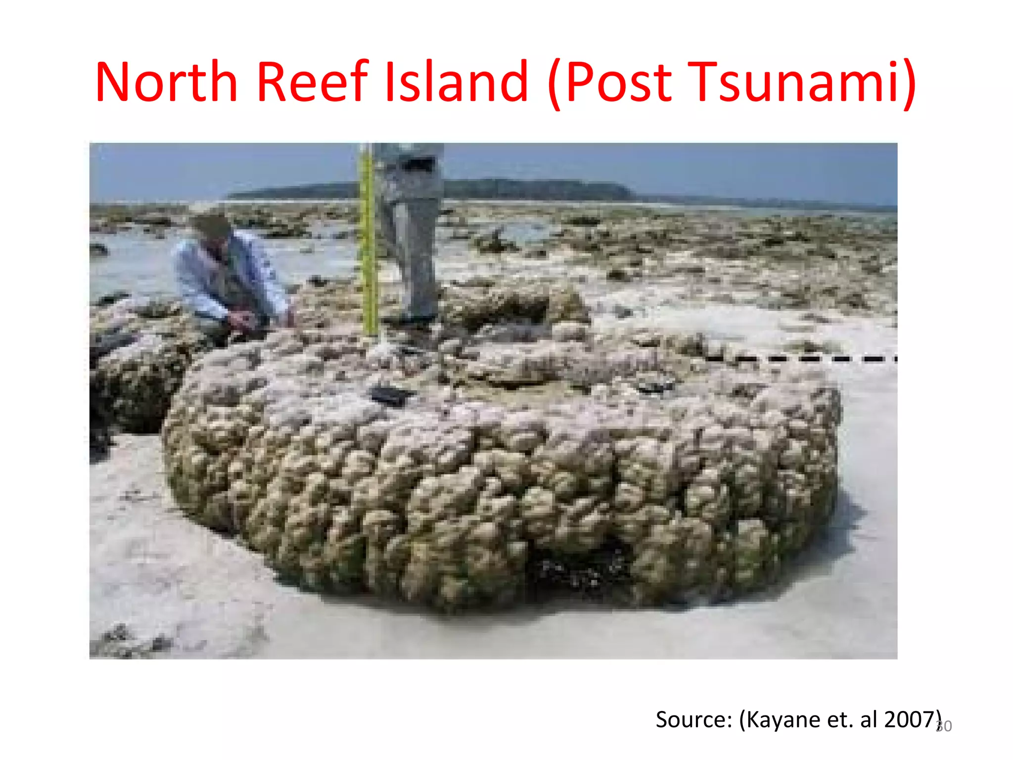 Tsunami damage assessment for parts of Andaman and Nicobar Island: 2004 ...