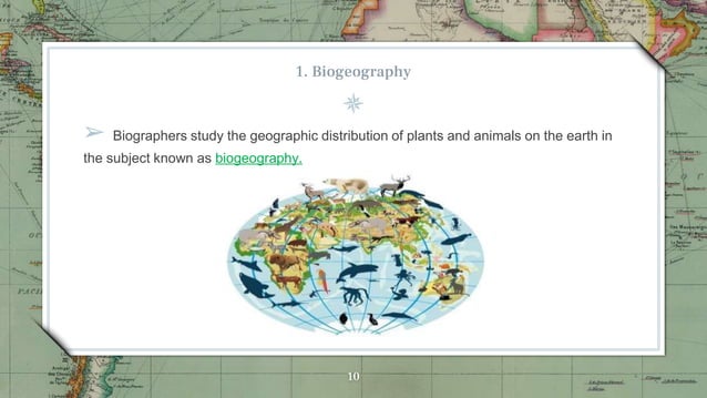 What is Geography, Branches of Geography and Scope of Geography. | PPT