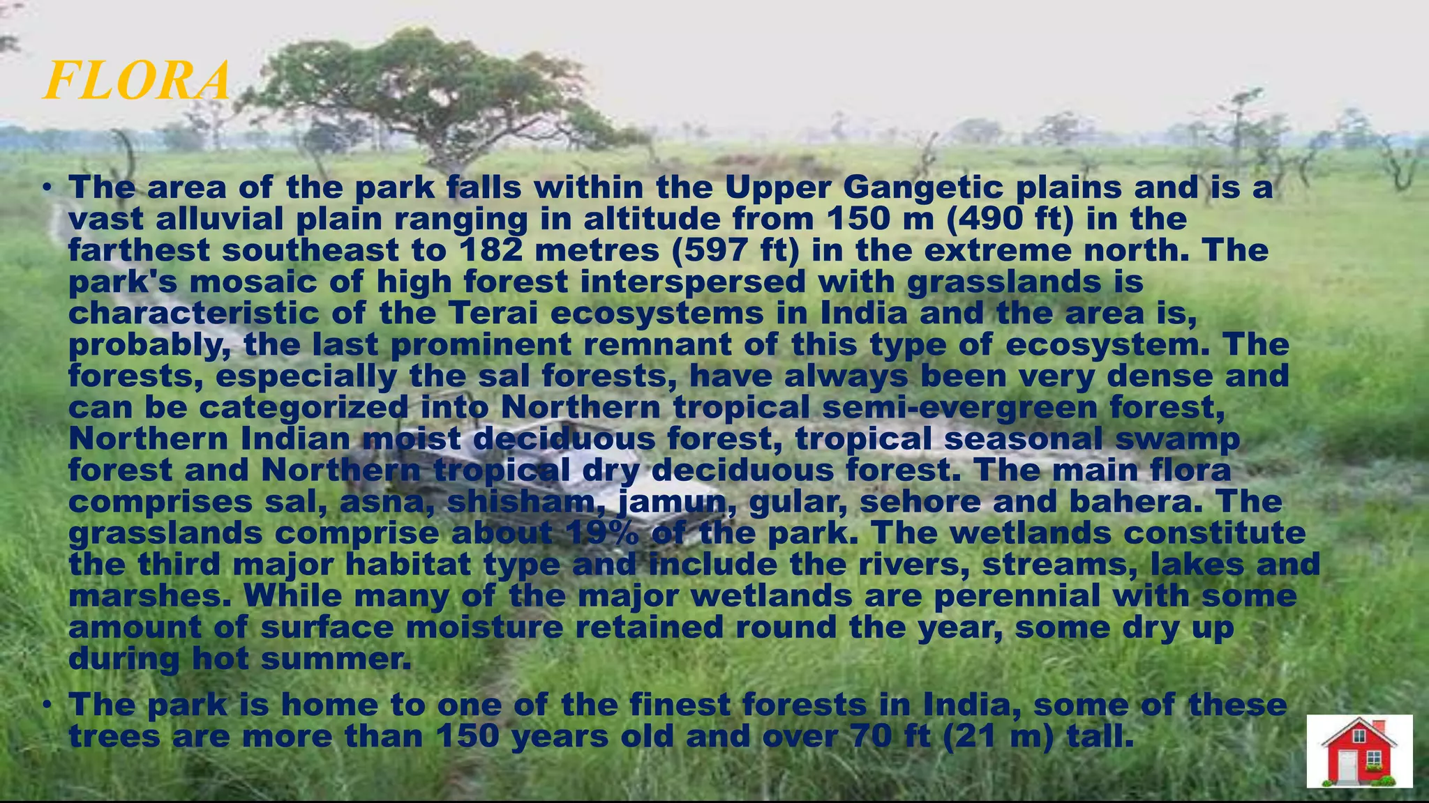 Dudhwa National Park, Uttar Pradesh , India | PPTX