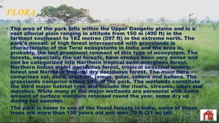 Dudhwa National Park, Uttar Pradesh , India | PPT