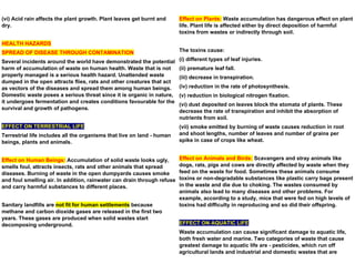 Geography Class 10th ICSE - Transport and waste Management. pdf | PDF