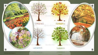 seasons and time in india | PDF