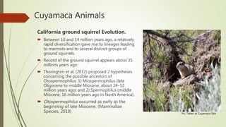 Geo 103 lab field | PPT