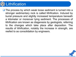 Sedimentary- rocks-- lecture- Slides.pdf