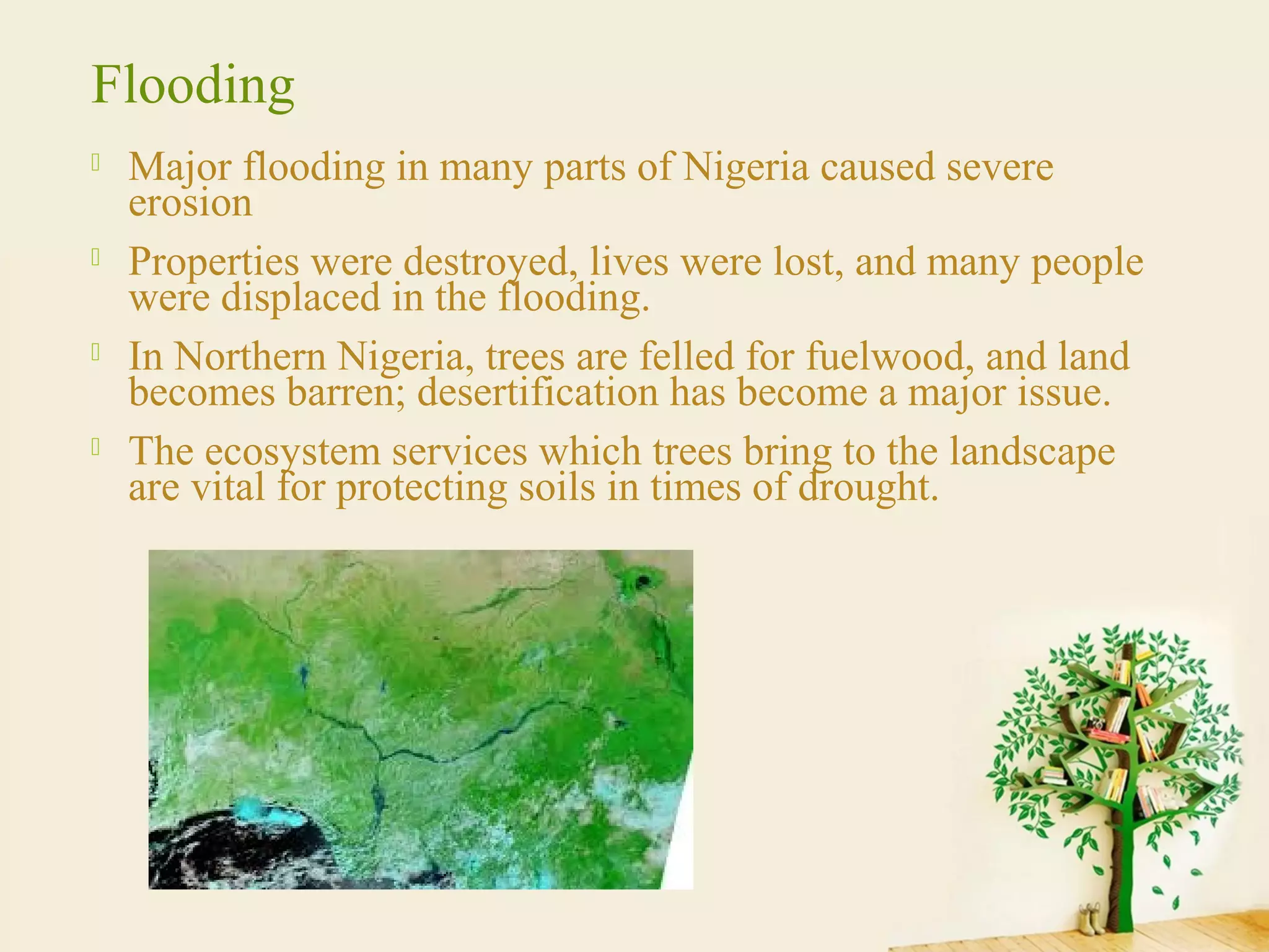 nigeria human environment interaction | PPT