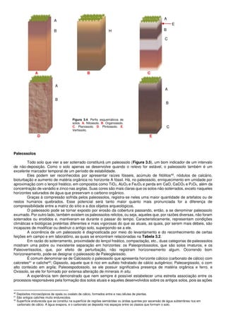 Geoarqueologia_Noções básicas e importantes | PDF