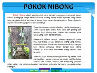 Geo bab 12 | PPT