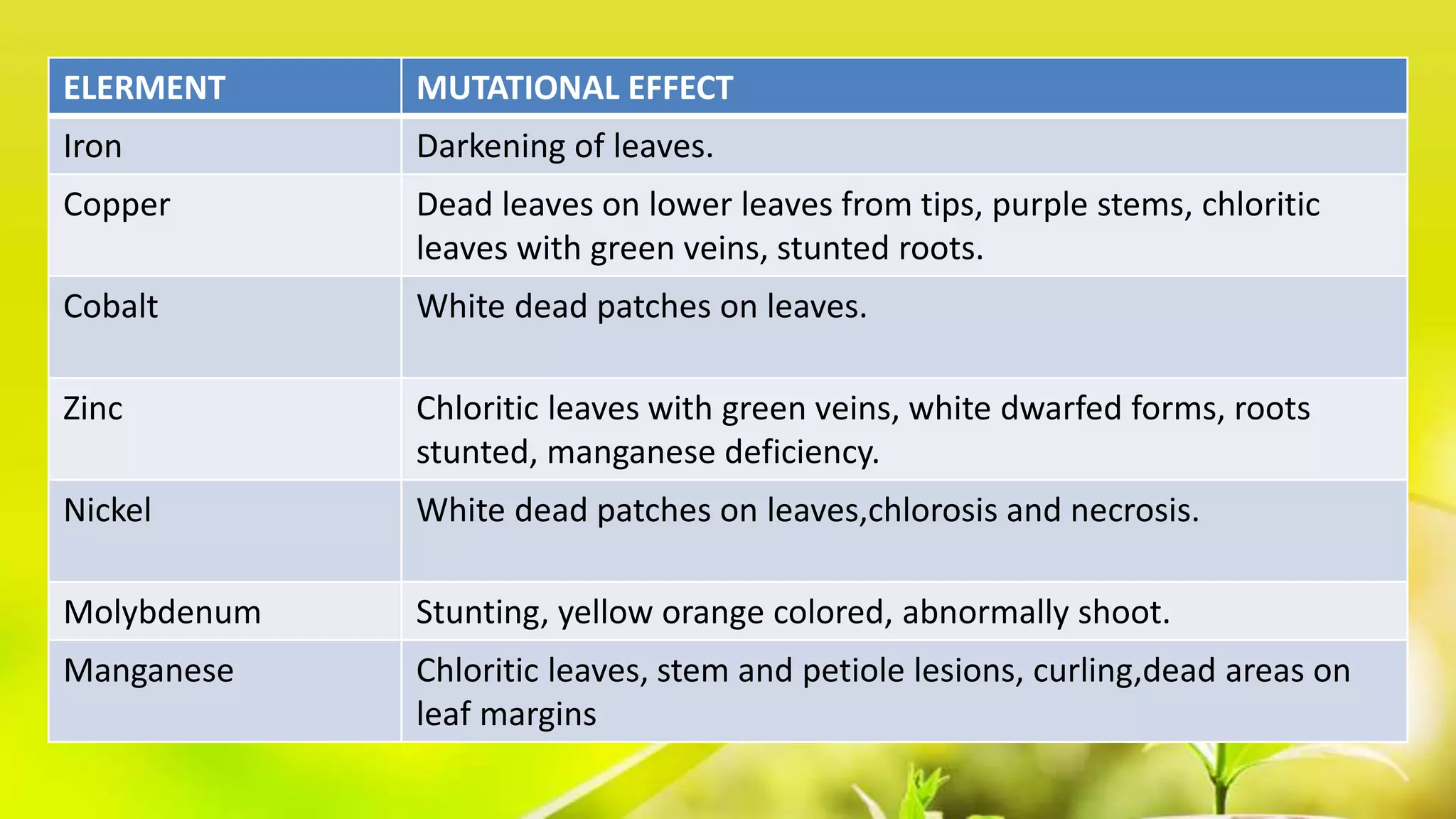 GEOBOTONICAL GUIDES FOR ORE | PPTX