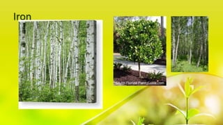 GEOBOTONICAL GUIDES FOR ORE | PPTX