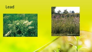 GEOBOTONICAL GUIDES FOR ORE | PPTX